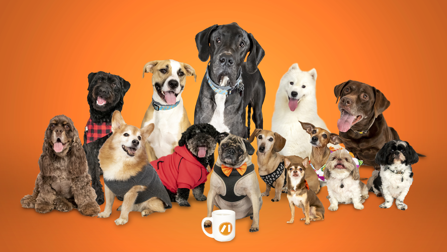 When Life Hands you a Pandemic, Make Dog Lemonade | Posture Interactive